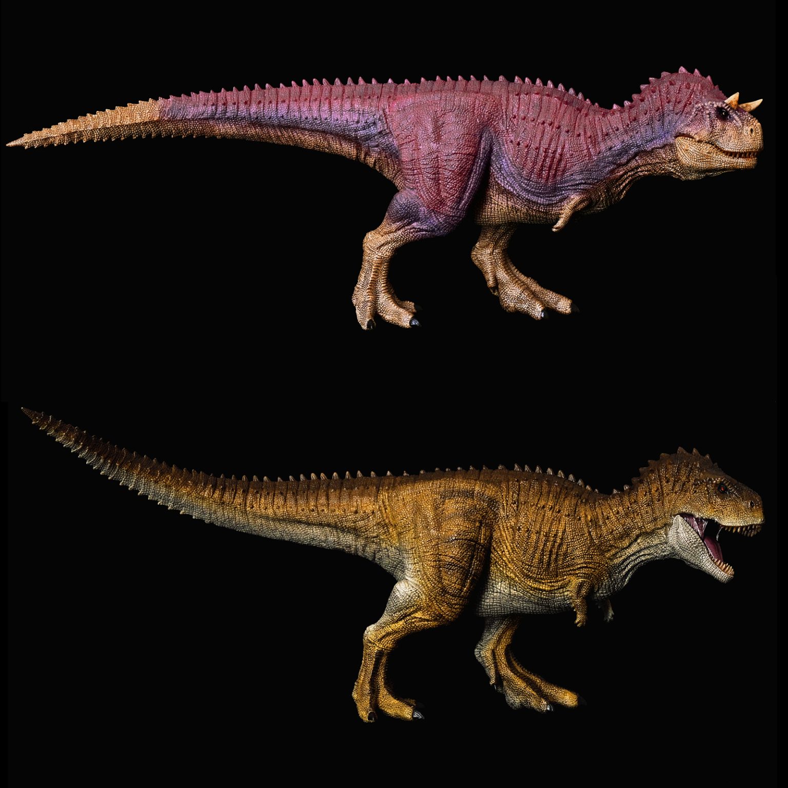 Rebor 1 35 Carnotaurus Rex King Class Replica Dinosaur Adults Model ...