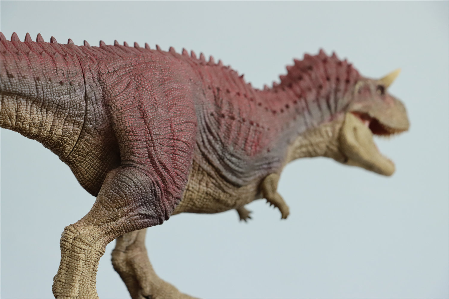Rebor 1 35 Carnotaurus Rex King Class Replica Dinosaur Adults Model ...